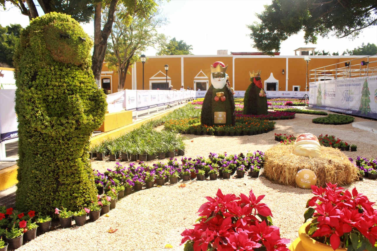 Inaugurado el Paseo de las Flores, un evento único y colorido que llega por primera vez a ...