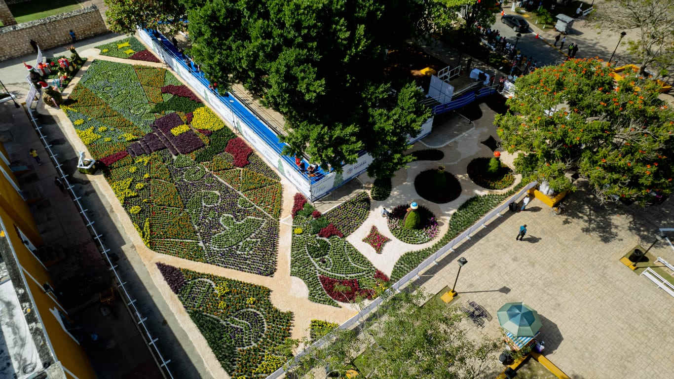 Inaugurado el Paseo de las Flores, un evento único y colorido que llega por primera vez a ...